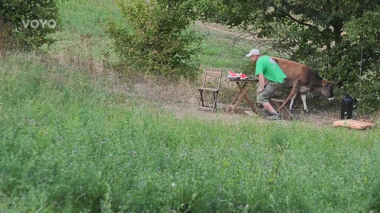 13. díl - 16. série - Farma (SK) | Oneplay